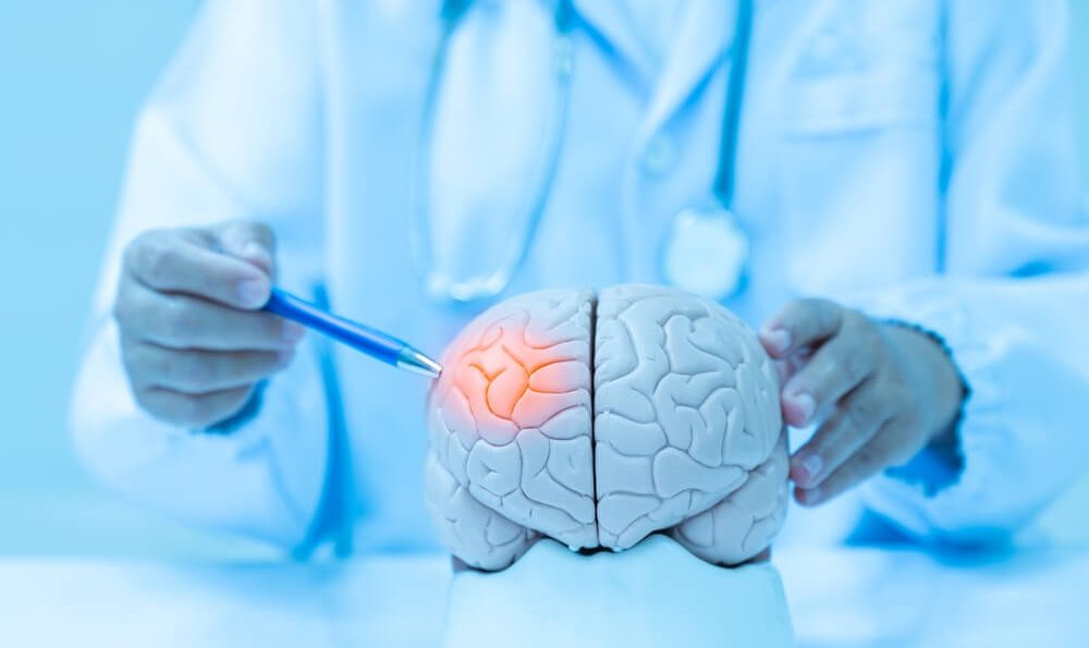 Wie Gehirntumor-Zellen "unsterblich" werden