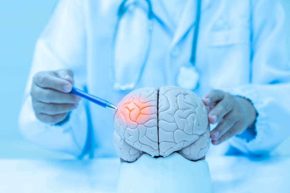 Wie Gehirntumor Zellen Unsterblich Werden 6514