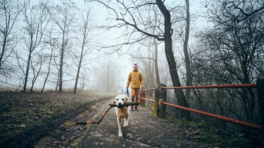 „Gangart“ verrät die Stimmung